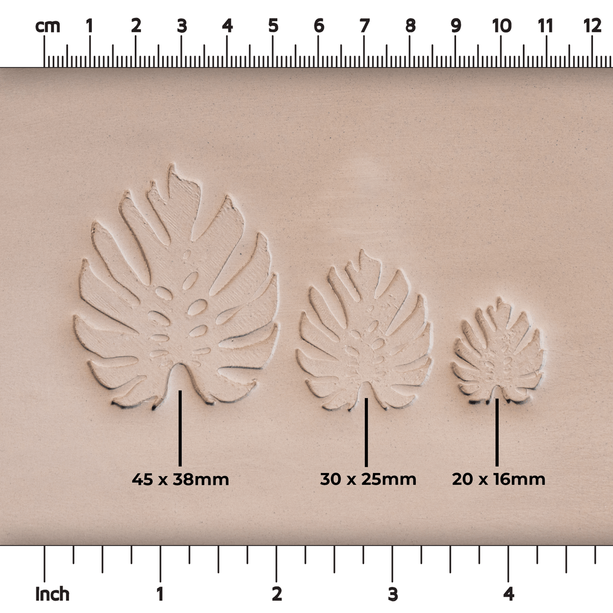Monstera Leaf Stamps - 3 Styles & Sizes – Hobby Stop
